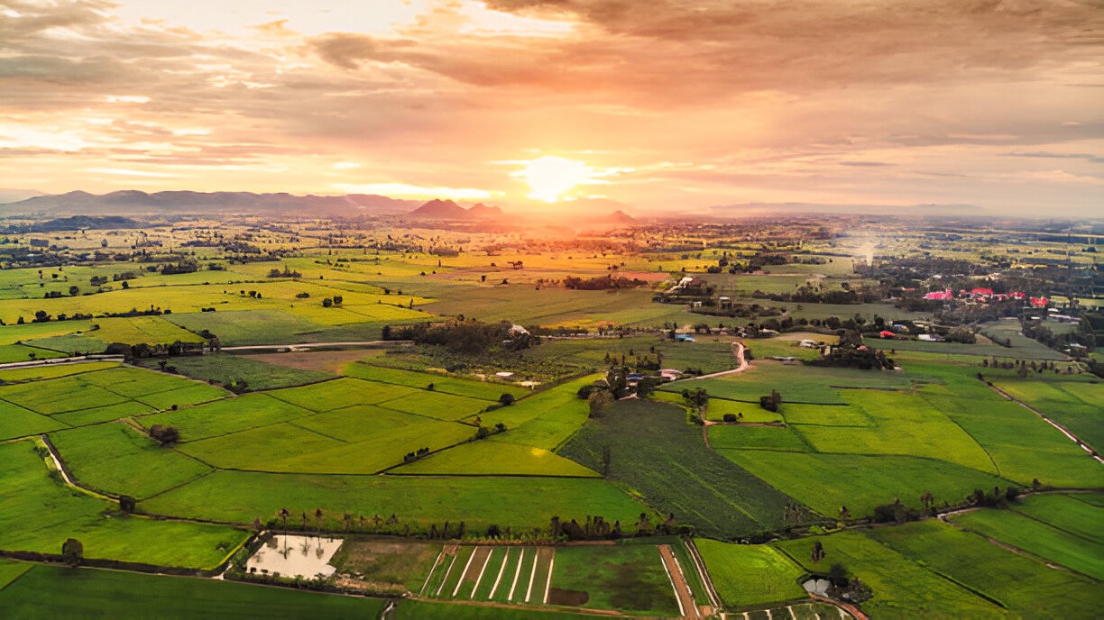 What Makes Land for Sale in Collin and Ellis Counties So Special?